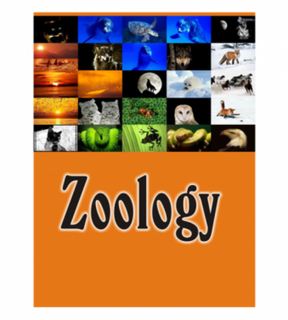 Zoology 4th Edition by Stephen A. Miller (Author) – BooksNbooks