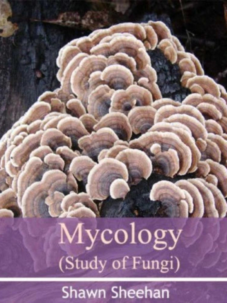 Mycology Study Of Fungi by Shawn Sheehan – BooksNbooks