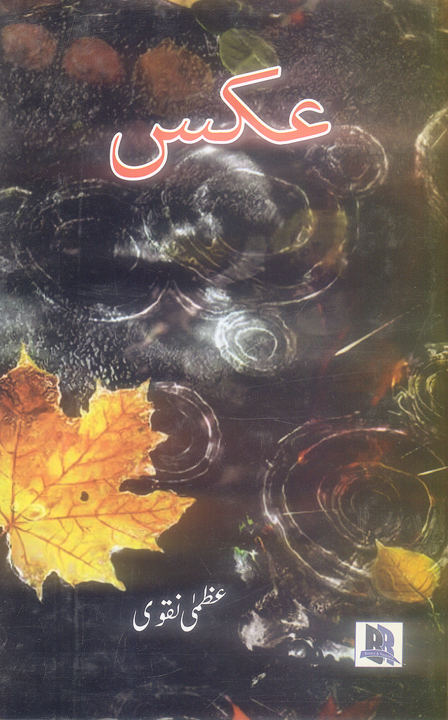 Aks - عکس by Uzma Naqvi – BooksNbooks