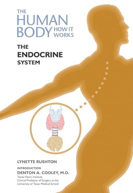 The Endocrine System: The Human Body-How It Works by Lynette Rushton ...