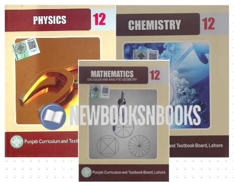 Punjab Textbooks Of Class 12 - PTB – BooksNbooks