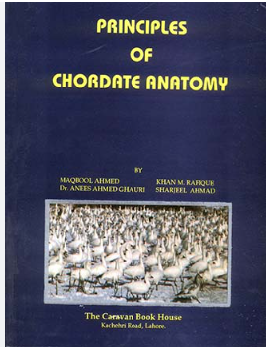 Principles Of Chordate Anatomy by Maqbool Ahmed - Caravan – BooksNbooks